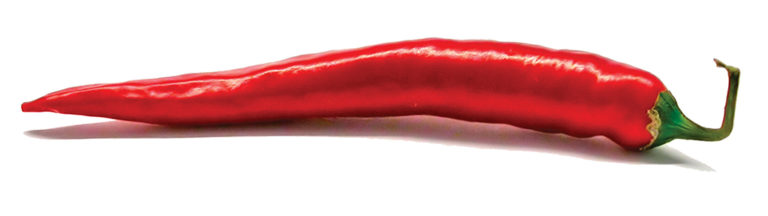 El chile - Mexicanísimo