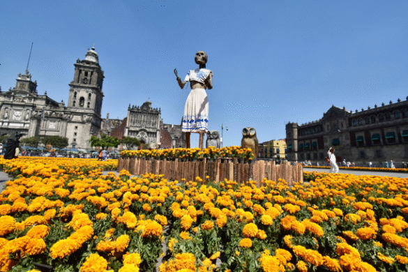 «El perro y el coyote», un cuento otomí – Mexicanísimo