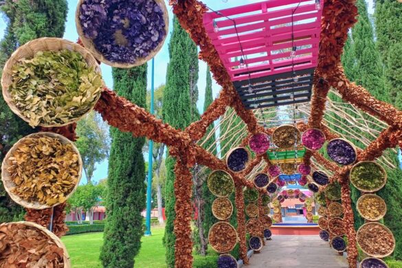 «El perro y el coyote», un cuento otomí – Mexicanísimo